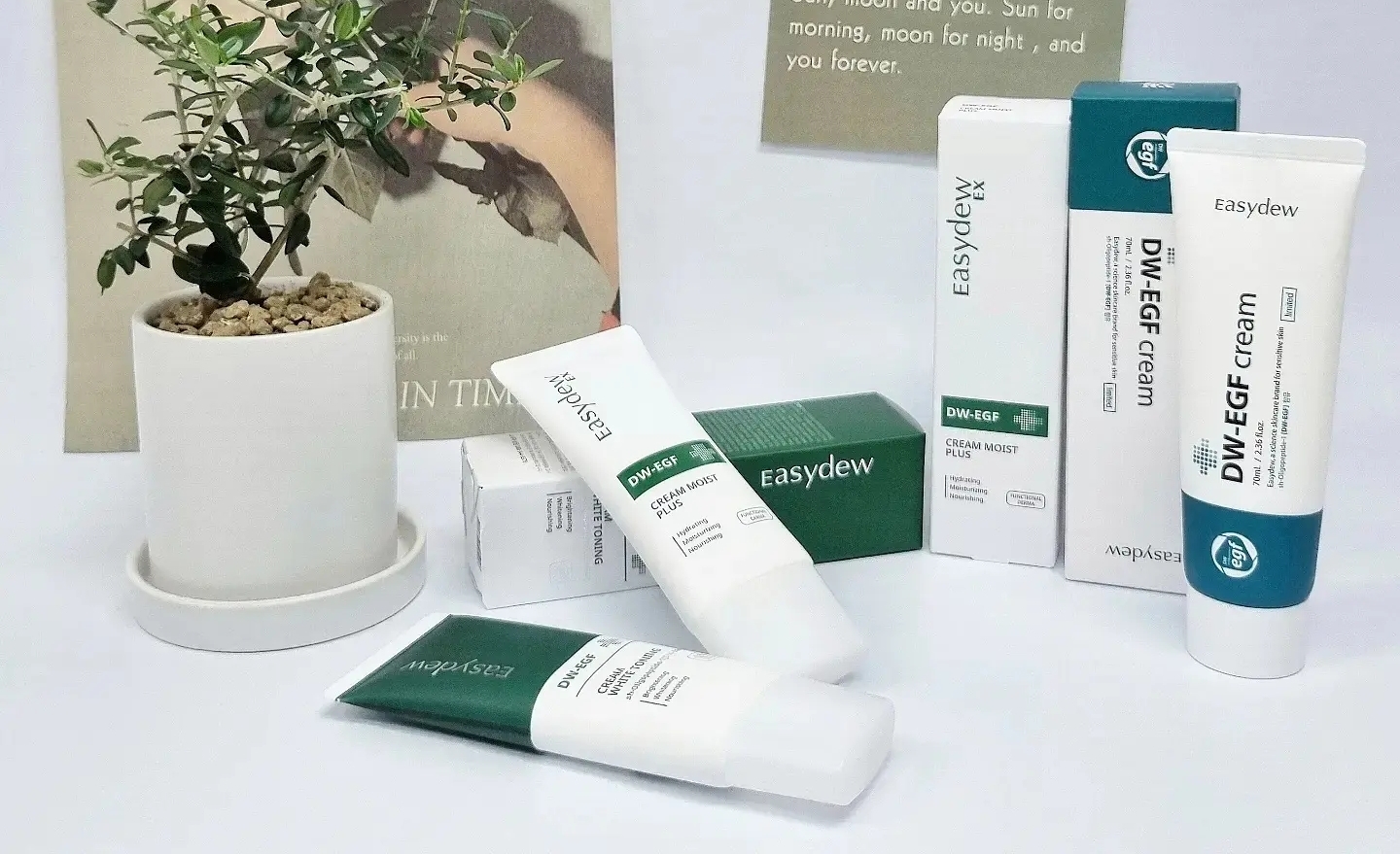 이지듀(Easydew) DW-EGF 크림 리미티드 파워리뷰 by myminions - 언니의파우치